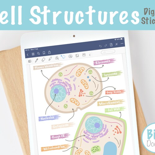 Cell Biology Digital Stickers Diagrams Headings Ipad - Etsy