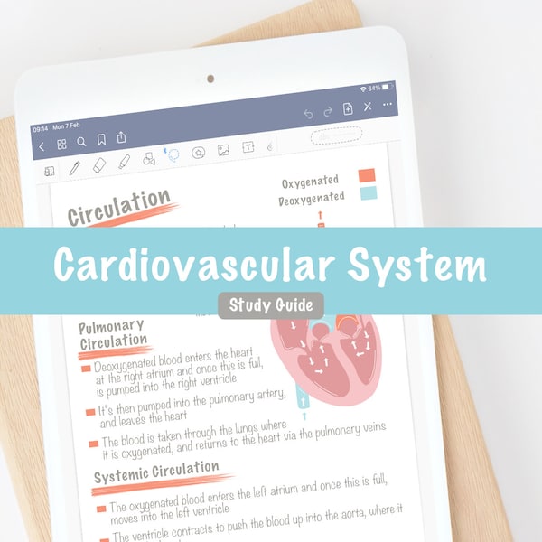 Vet Tech Notes - Etsy