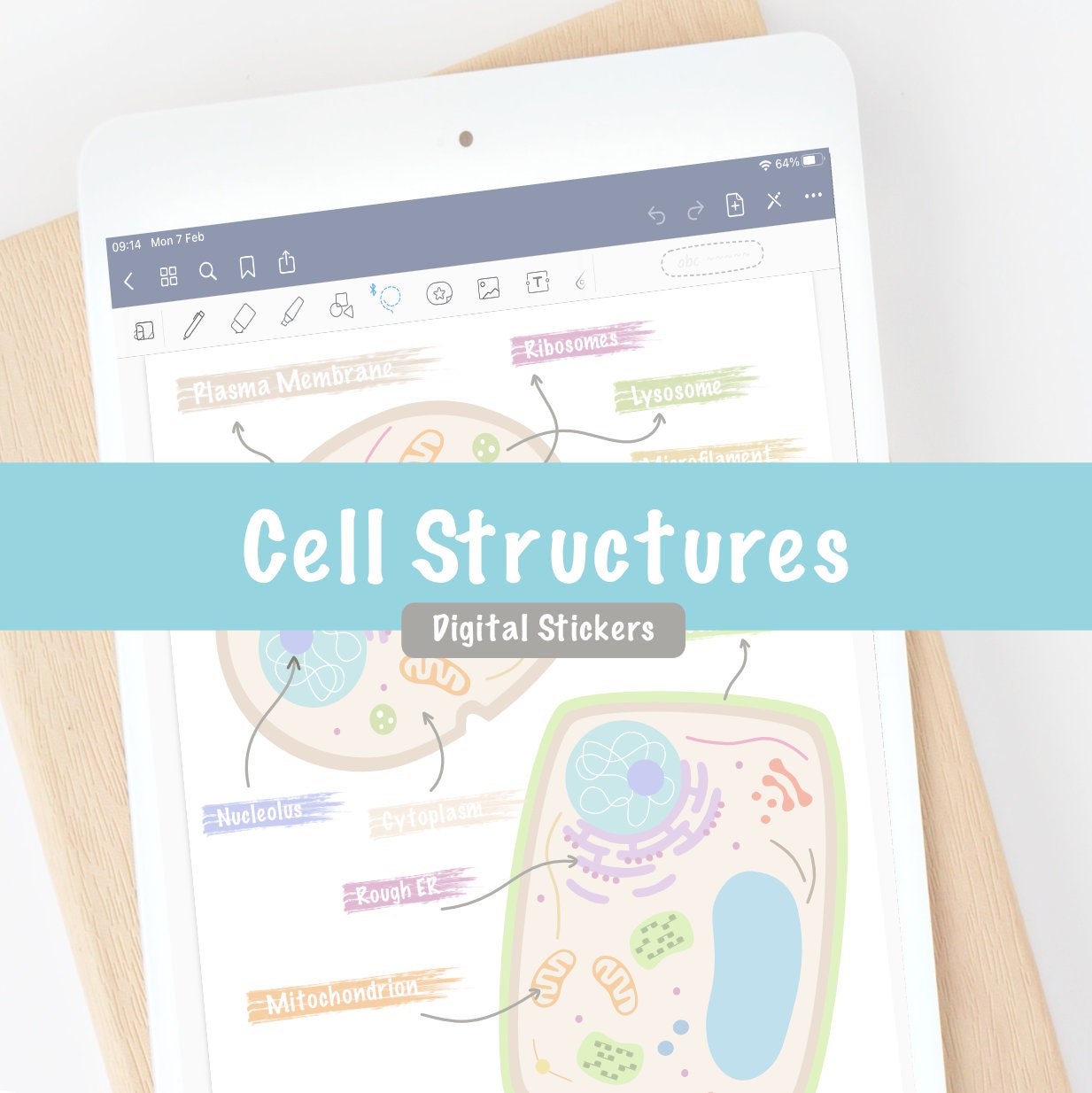 Cell Structures Organelles Digital Stickers| iPad Goodnotes Notability ...