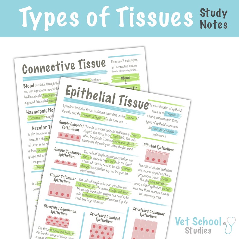 Types of Tissues Digital Study Guide | Biology Study Notes | Medicine ...