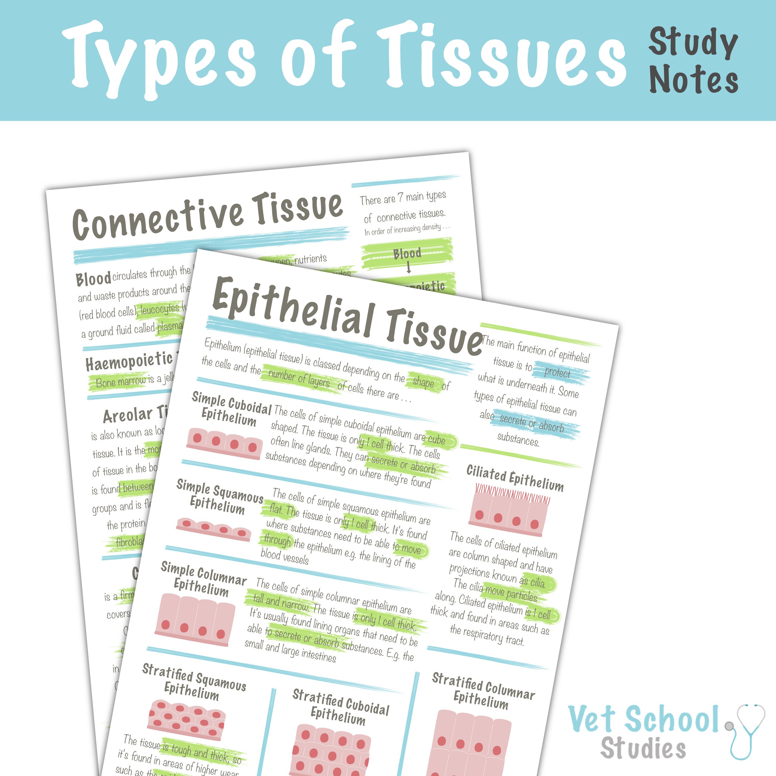 Types of Tissues Digital Study Guide | Biology Study Notes | Medicine ...