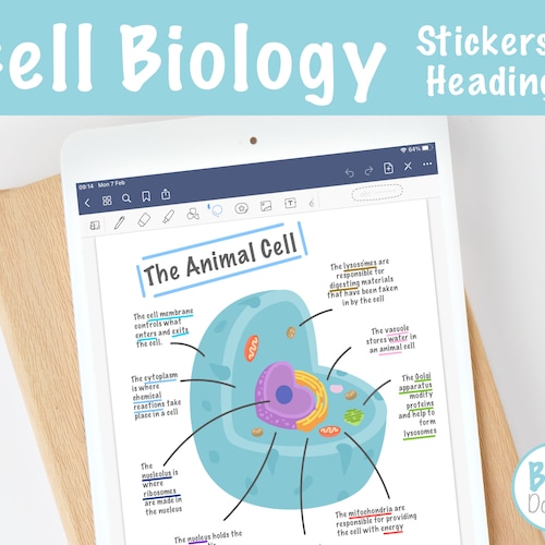Cell Biology Digital Stickers Diagrams Headings Ipad - Etsy