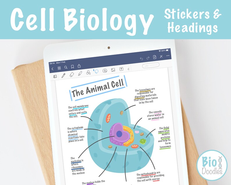 Cell Biology Digital Stickers Diagrams Headings | iPad Goodnotes ...