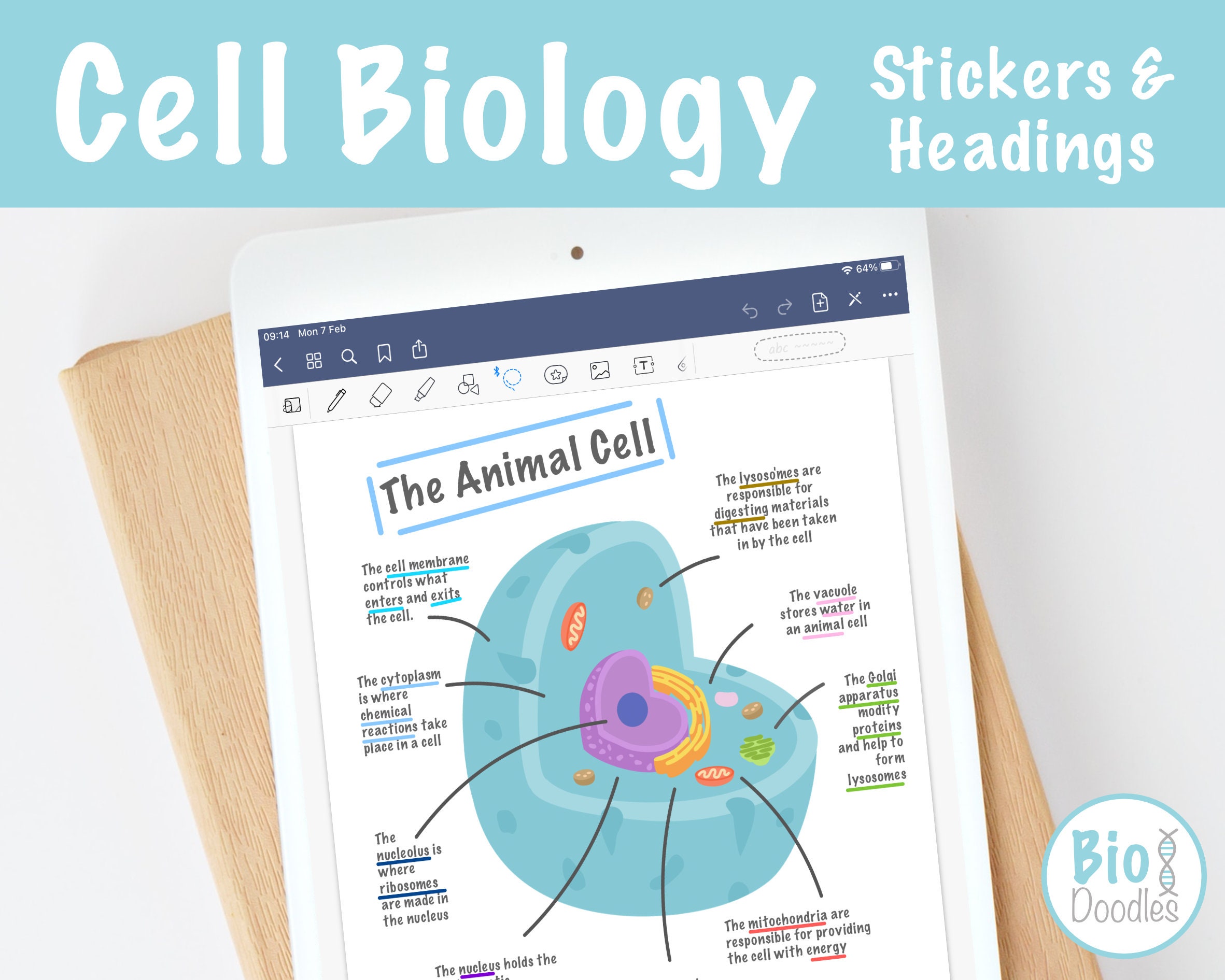 Cell Biology Digital Stickers Diagrams Headings | iPad Goodnotes ...
