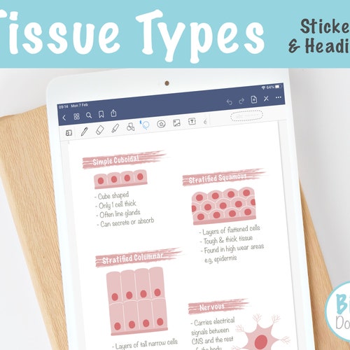 Types of Tissues Digital Stickers Diagrams Headings Ipad - Etsy