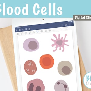 Types of Blood Cells Digital Stickers | Cell Biology Human Biology Clip ...