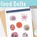 Types of Blood Cells Digital Stickers | Cell Biology Human Biology Clip ...