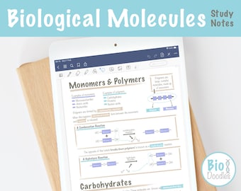 Biology Notes High School - Etsy