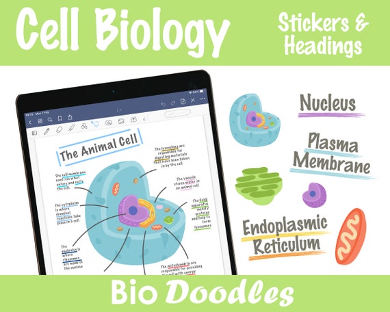 Cell Biology Digital Stickers Diagrams Headings Ipad | Etsy