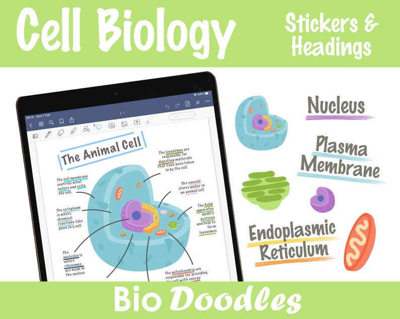Cell Biology Digital Stickers Diagrams Headings Ipad | Etsy