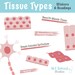 Types of Tissues Digital Stickers Diagrams Headings | iPad Goodnotes ...