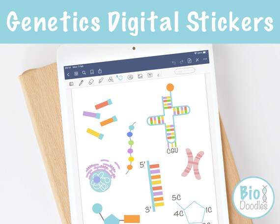 Genetics Digital Stickers Make Your Own Study Guide DNA - Etsy