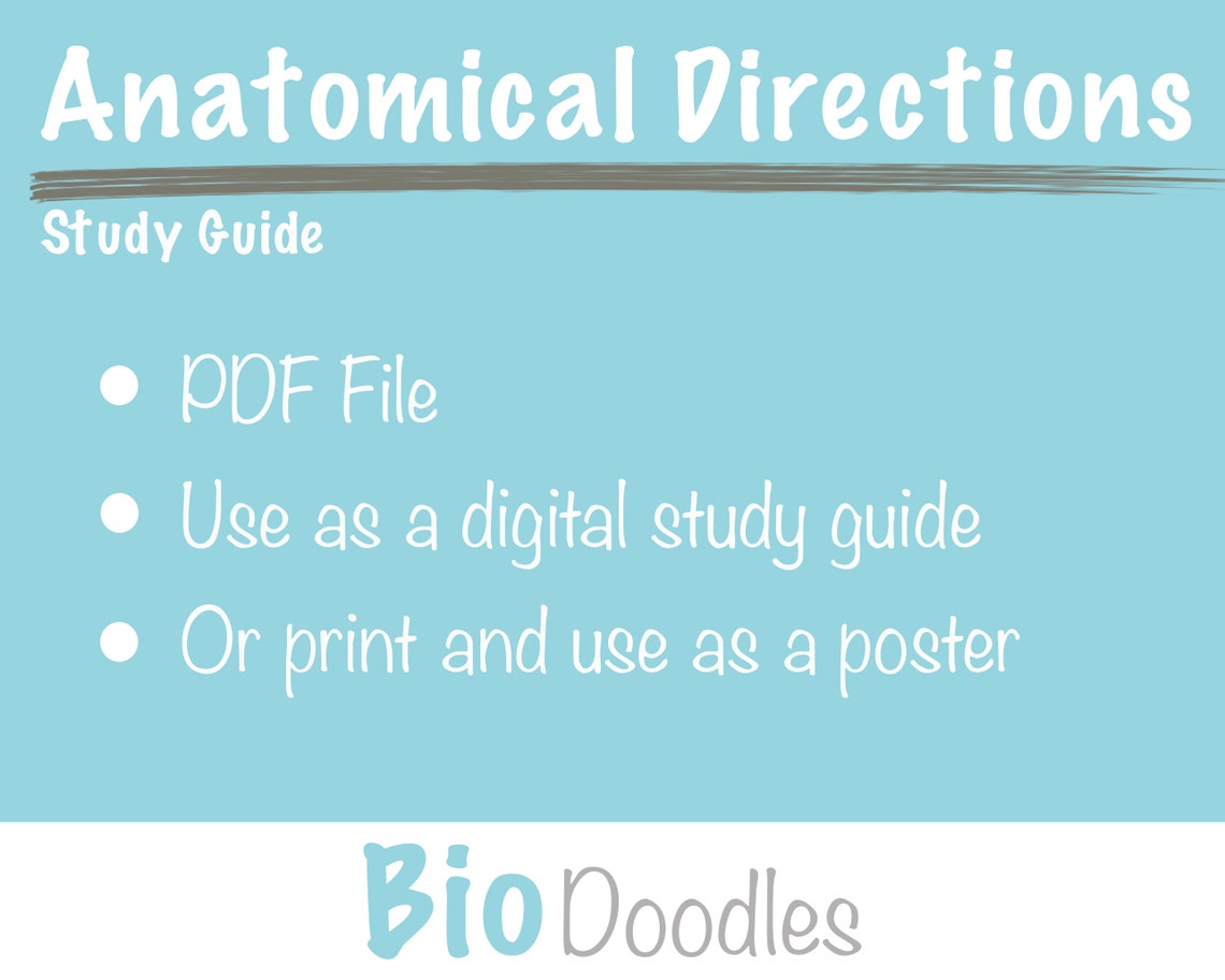 Anatomical Directions Study Guide Poster Veterinary Dog - Etsy
