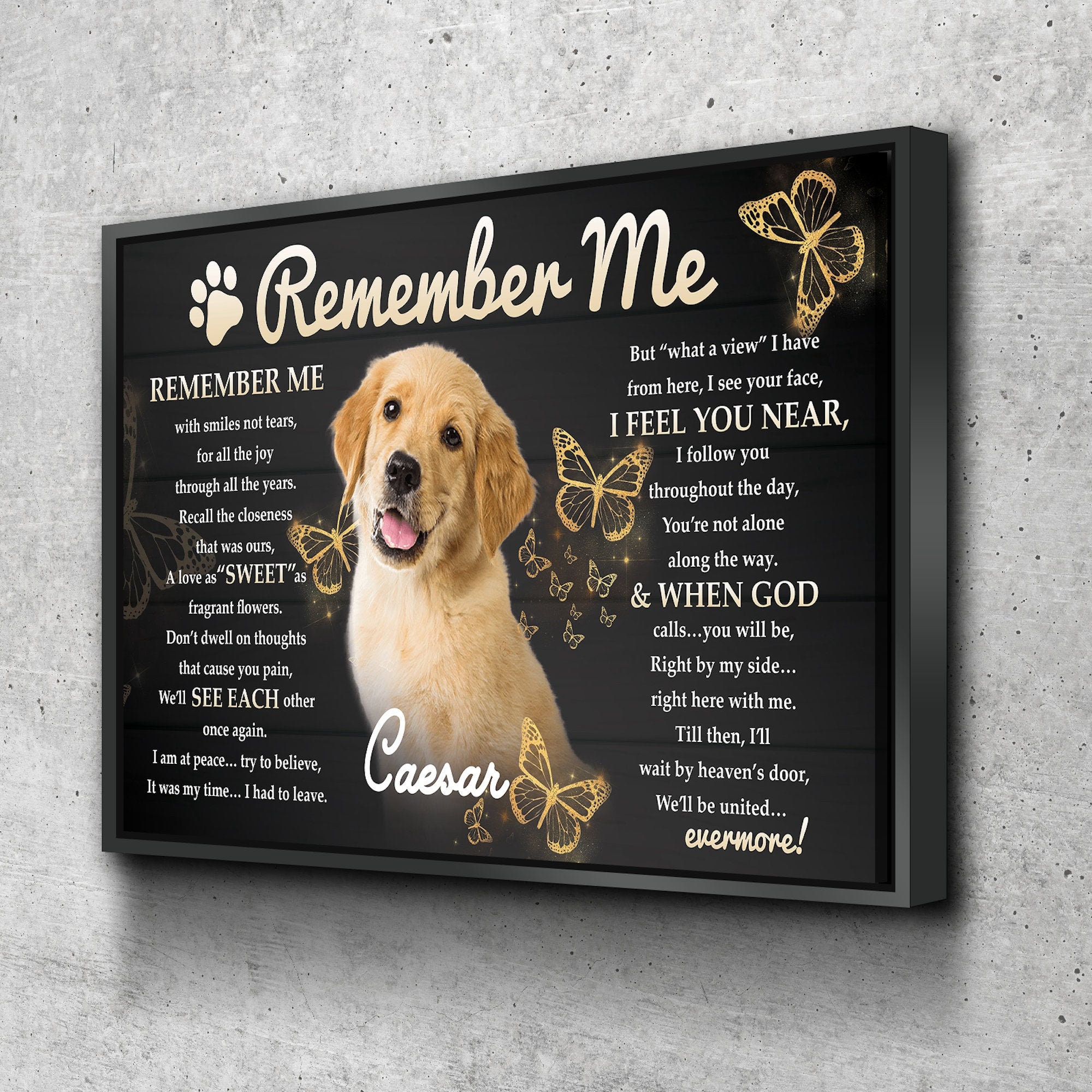 Will A Dog Remember You After 5 Years