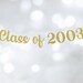 Class of 2003 Banner, Class Reunion, Party Decorations, Custom Banner ...