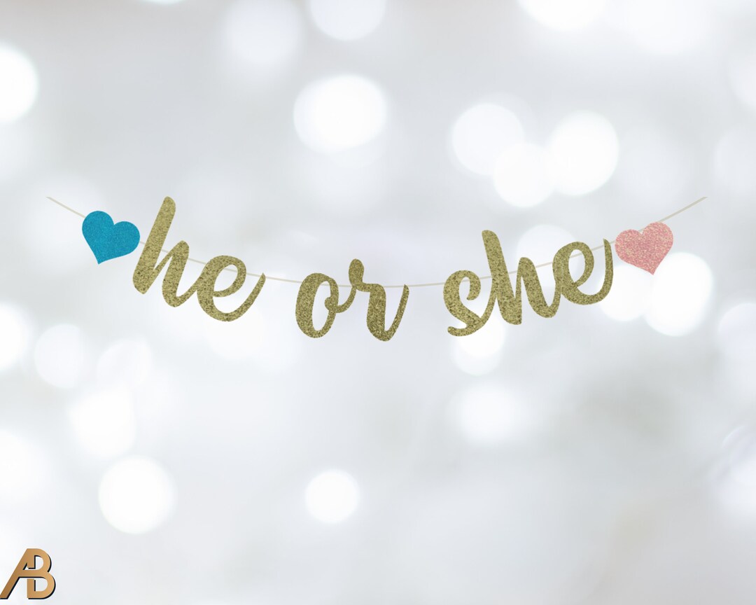 He or She Banner, Baby Shower Decorations, Gender Reveal, Baby ...