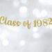 Class of 1982 Banner, Class Reunion, Party Decorations, Custom Banner ...