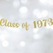 Class of 1973 Banner, Class Reunion, Party Decorations, Custom Banner ...
