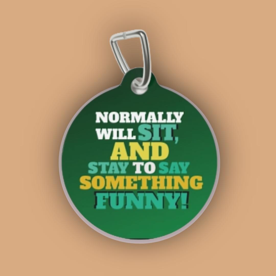 Custom Pet Id Tag. Pet Name Tag With Contact and Information, Double ...