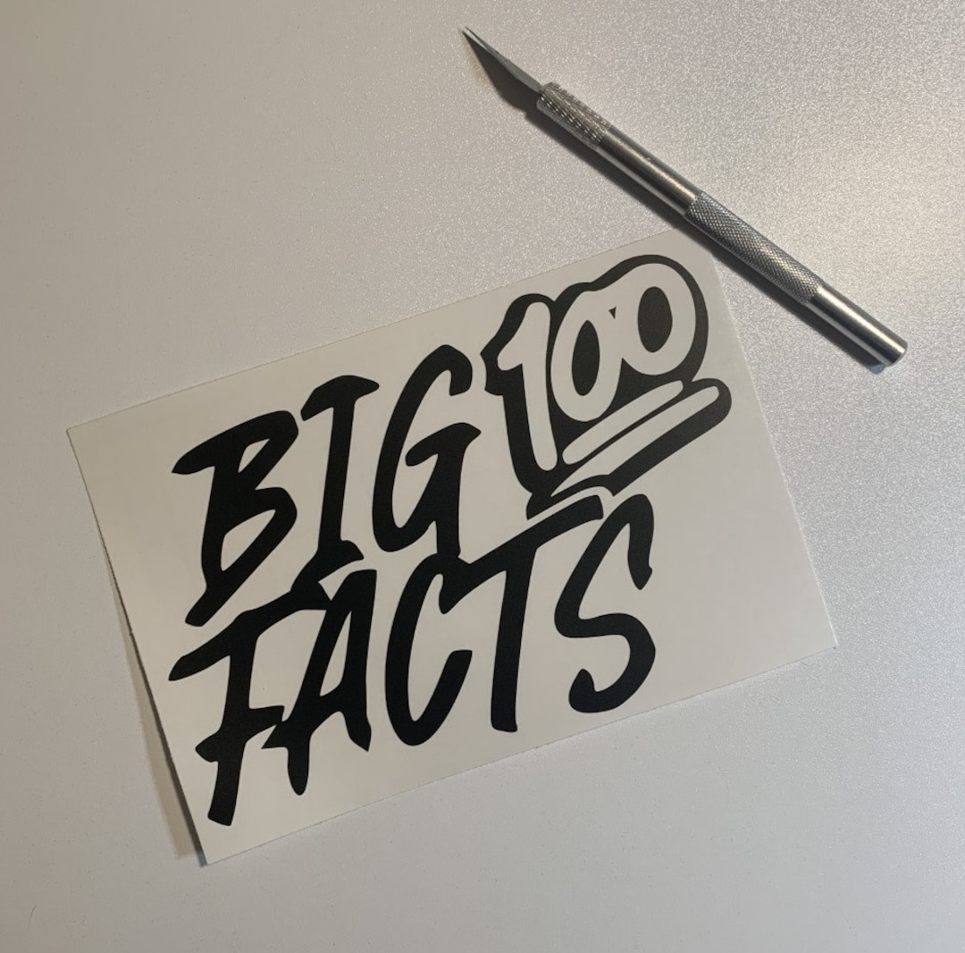 Big Facts Vinyl Decal - Etsy