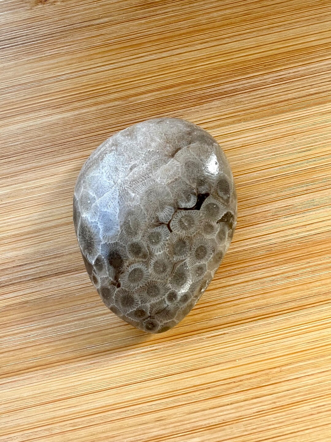 Petoskey Stone, Worry Stone, Tumbled Rock, Lake Michigan, Charlevoix ...