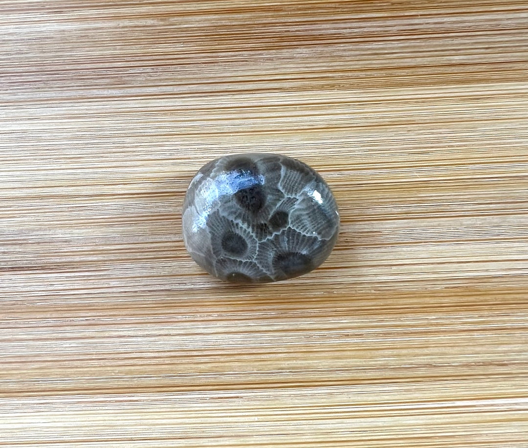 Petoskey Stone, Worry Stone, Lake Michigan, Charlevoix Coral, Fossil ...