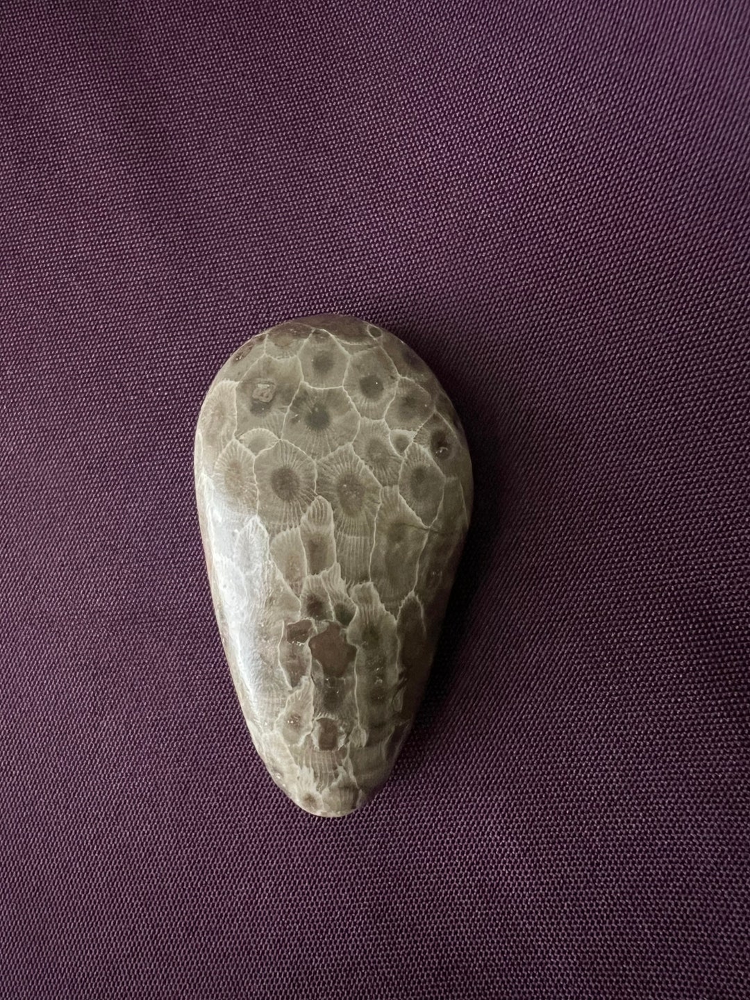 Petoskey Stone, Worry Stone, Tumbled Rock, Lake Michigan, Charlevoix ...