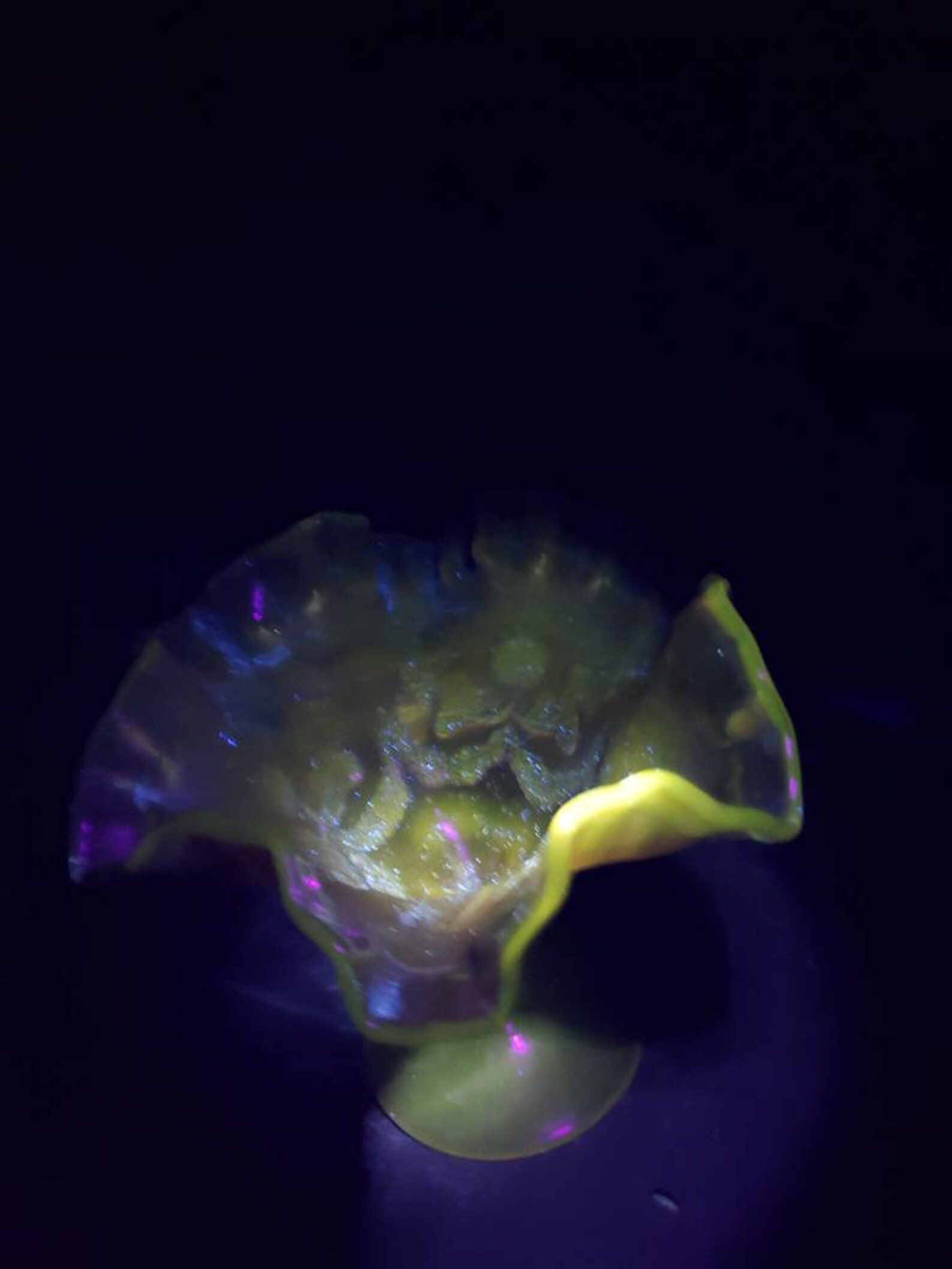 1960s Fenton Uranium Carnival Compote Glass - Etsy