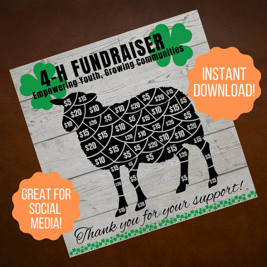Sheep 4-H Fundraiser | 4-H Fundraiser | Easy Fundraiser | Social Media ...