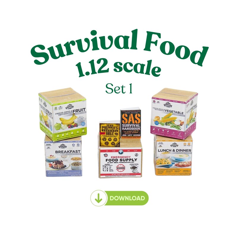 Miniature Lunch Box - Etsy