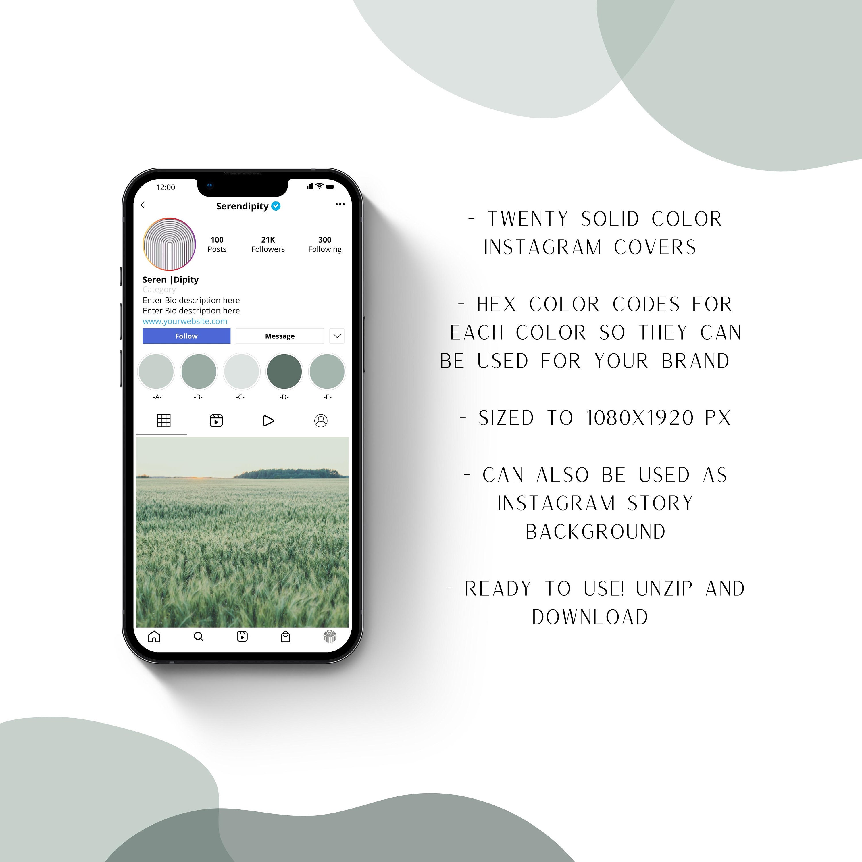 Instagram Highlight Cover Sage Sage Story Highlights Solid Ig Icons ...