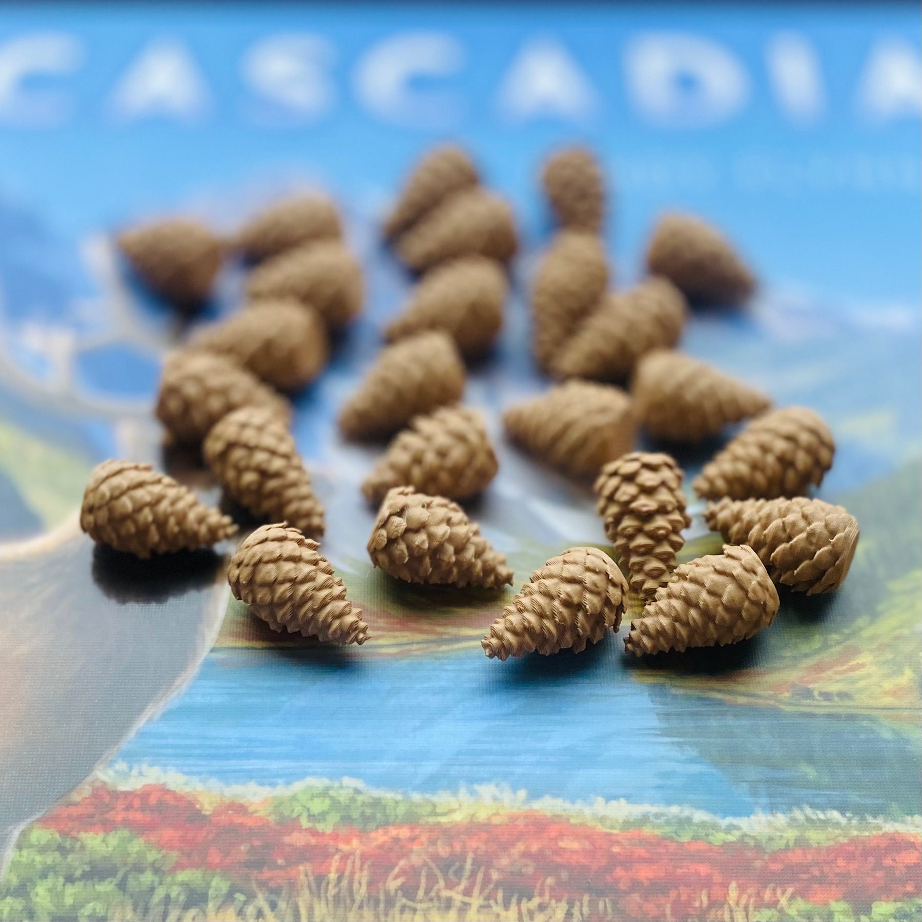 Cascadia Nature Token Pinecones set of 25 & Nesting Baskets - Etsy