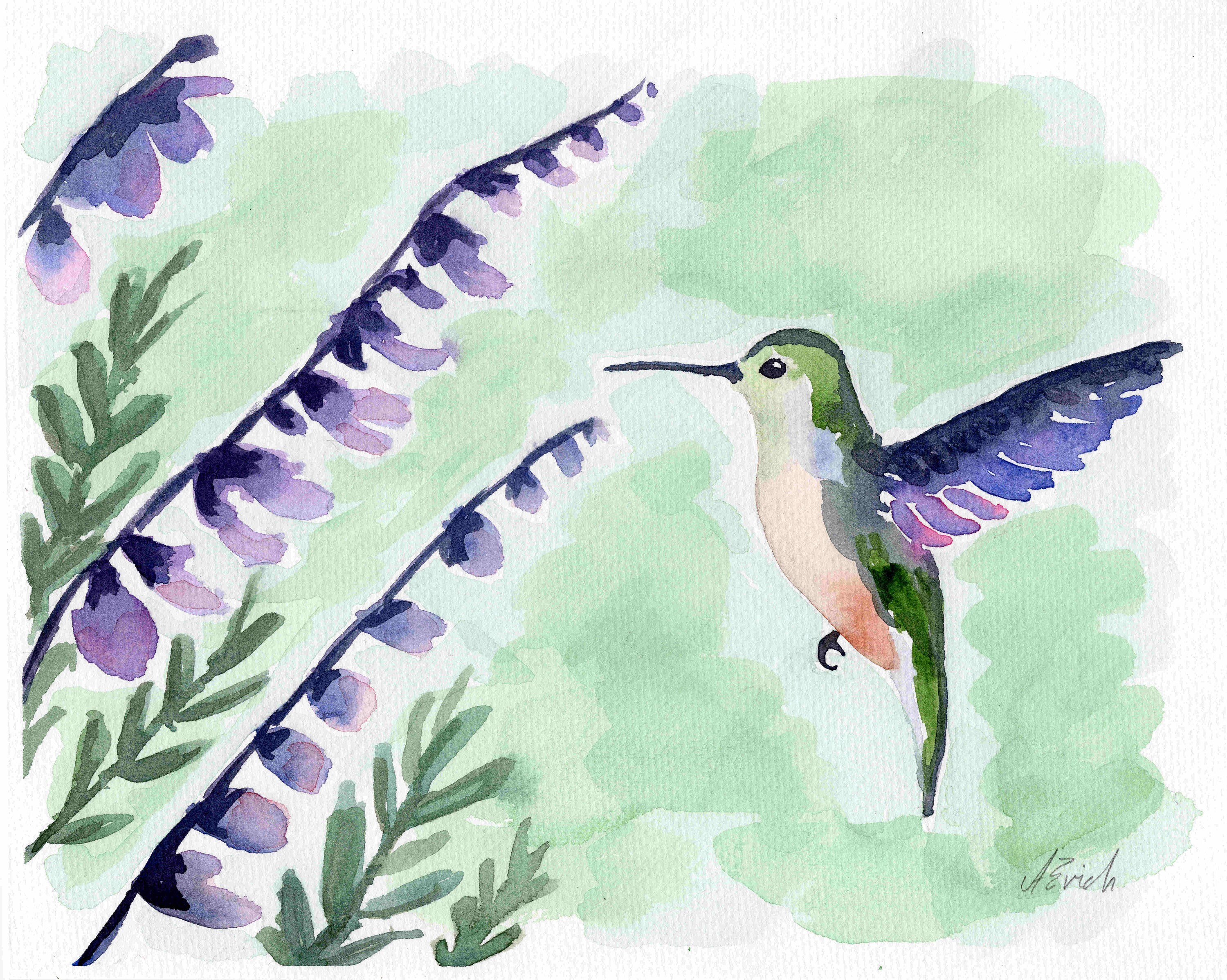10 Years Hummingbird