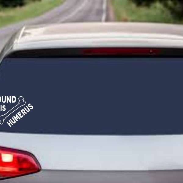 Human Bones Stickers - Etsy