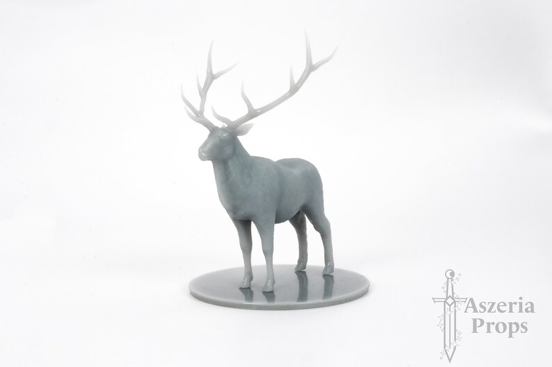 Beast Druid Dnd Minis set of 10 Druid Wild Shape Dnd Minis - Etsy