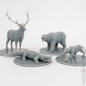 Beast Druid Dnd Minis set of 10 Druid Wild Shape Dnd Minis - Etsy