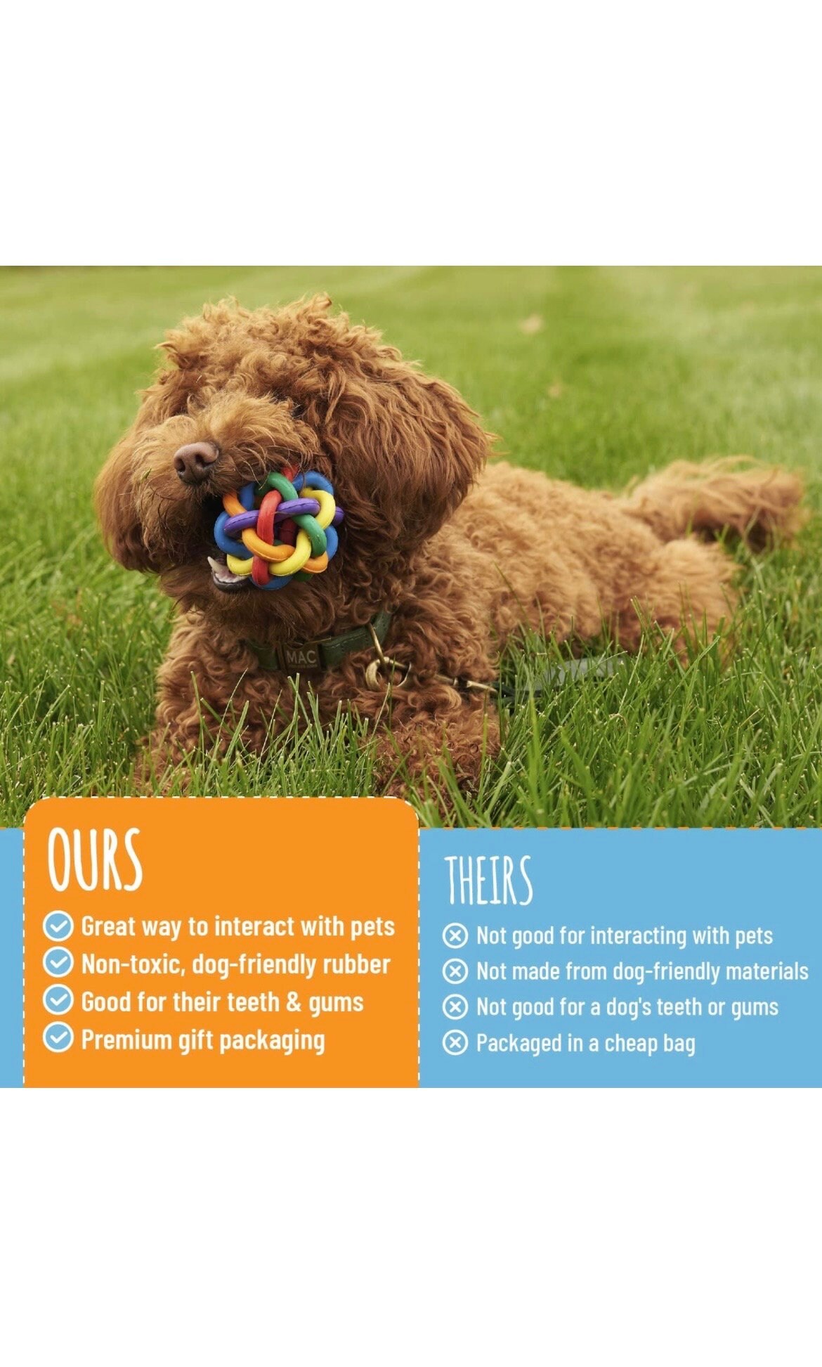 Fetch Toys for Dogs to Keep Them Occupied - Colorful Durable Dog Toy ...