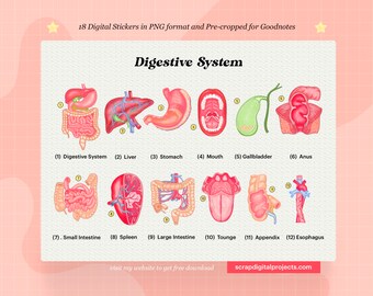 18 Skeletal System Digital Stickers, Human Bones Sticker, Human Anatomy ...