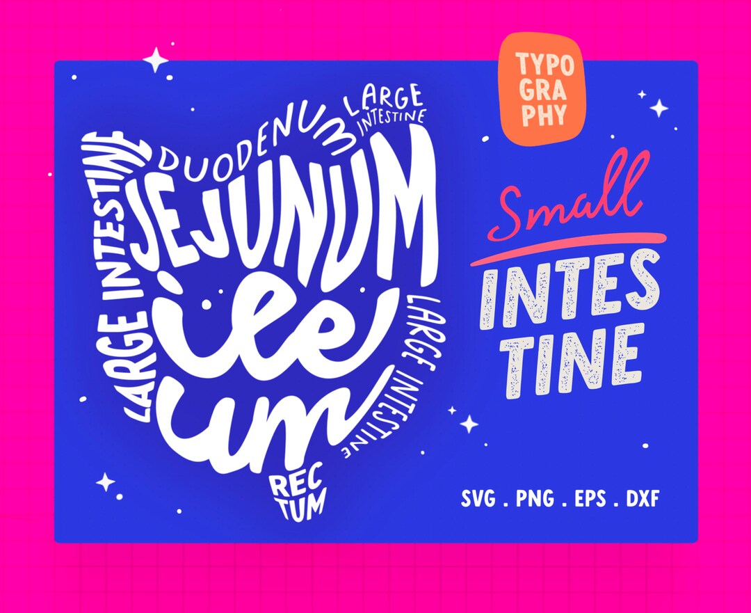 Small Intestine Anatomy Typography SVG - Etsy
