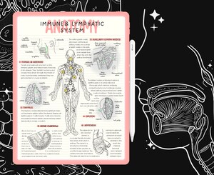 Cell Division Mitosis Clip Art Digital Download Cute Biology - Etsy Canada
