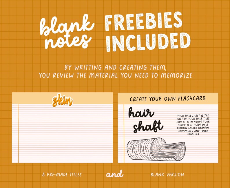 8 Integumentary System Anatomy Flashcards - Etsy