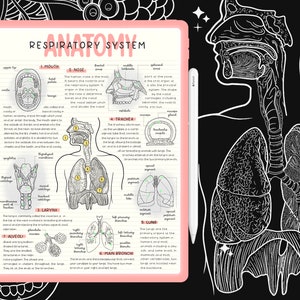 16 Respiratory System Digital Stickers Outline, Medsurg Sticker, Human ...