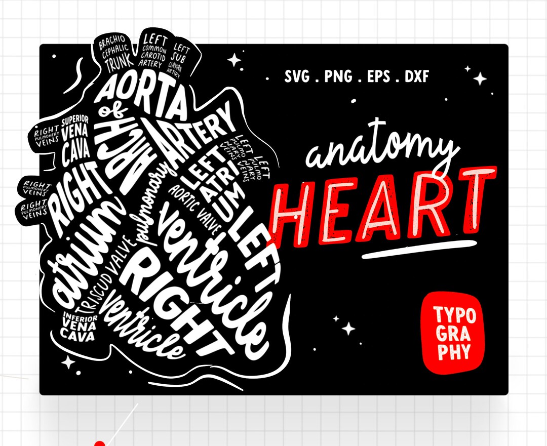 Heart Anatomy Typography SVG - Etsy