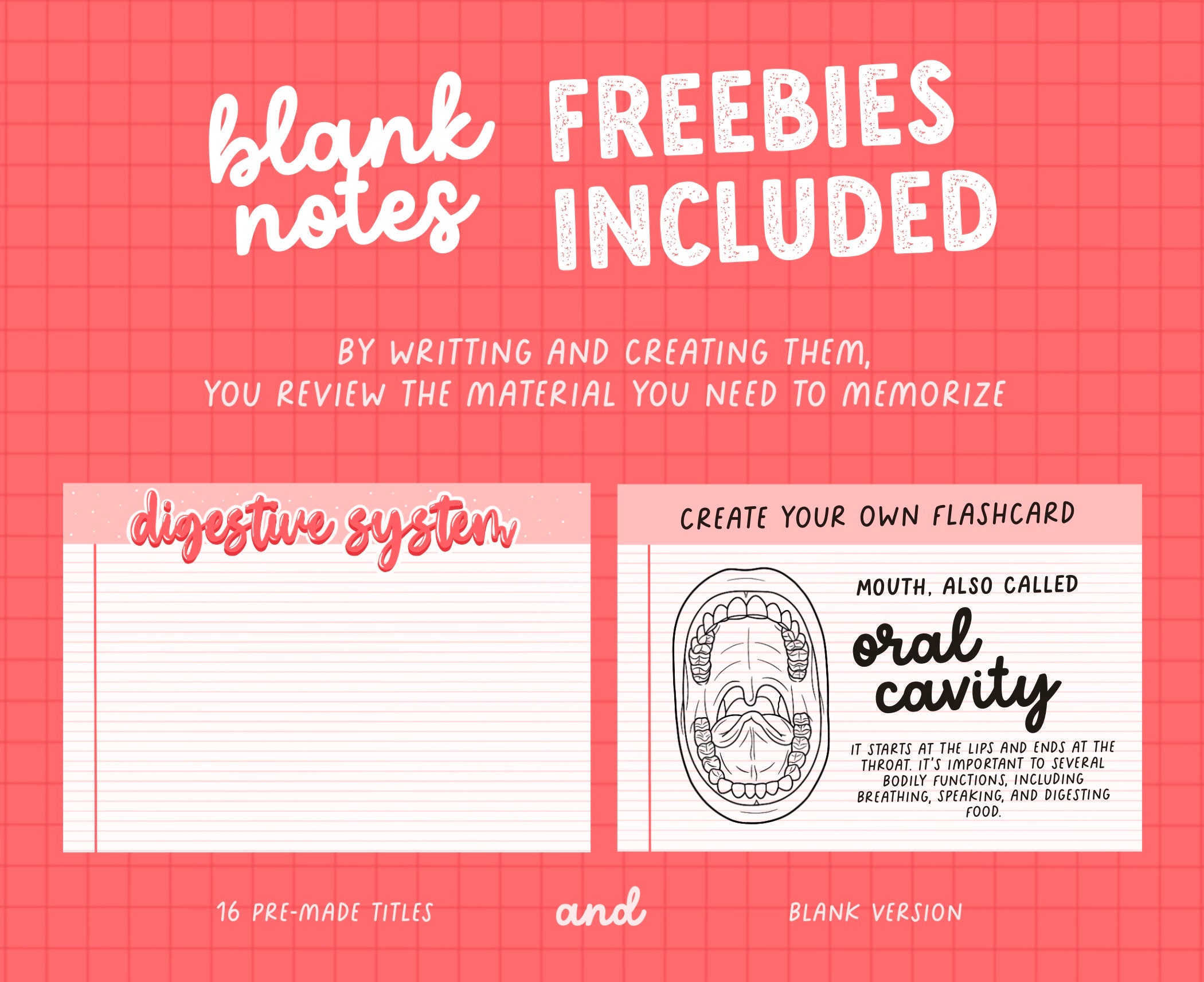 Digestive System Anatomy Flashcards Printable PDF - Etsy UK