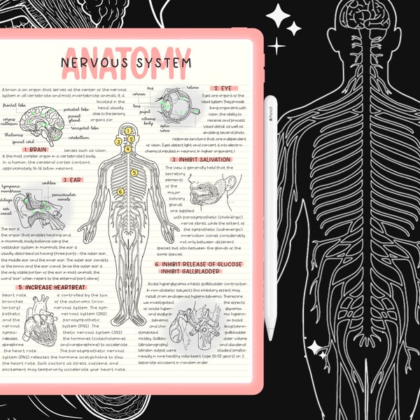 Human Anatomy and Physiology Stickers - Etsy