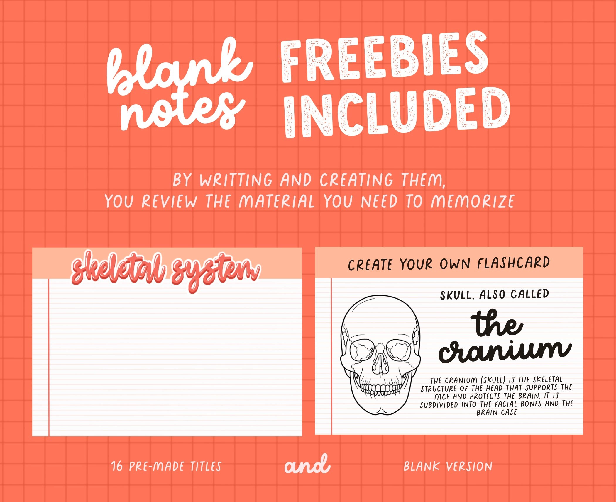 Skeletal System Anatomy Flashcards Printable PDF - Etsy