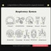 16 Respiratory System Digital Stickers Outline, Medsurg Sticker, Human ...