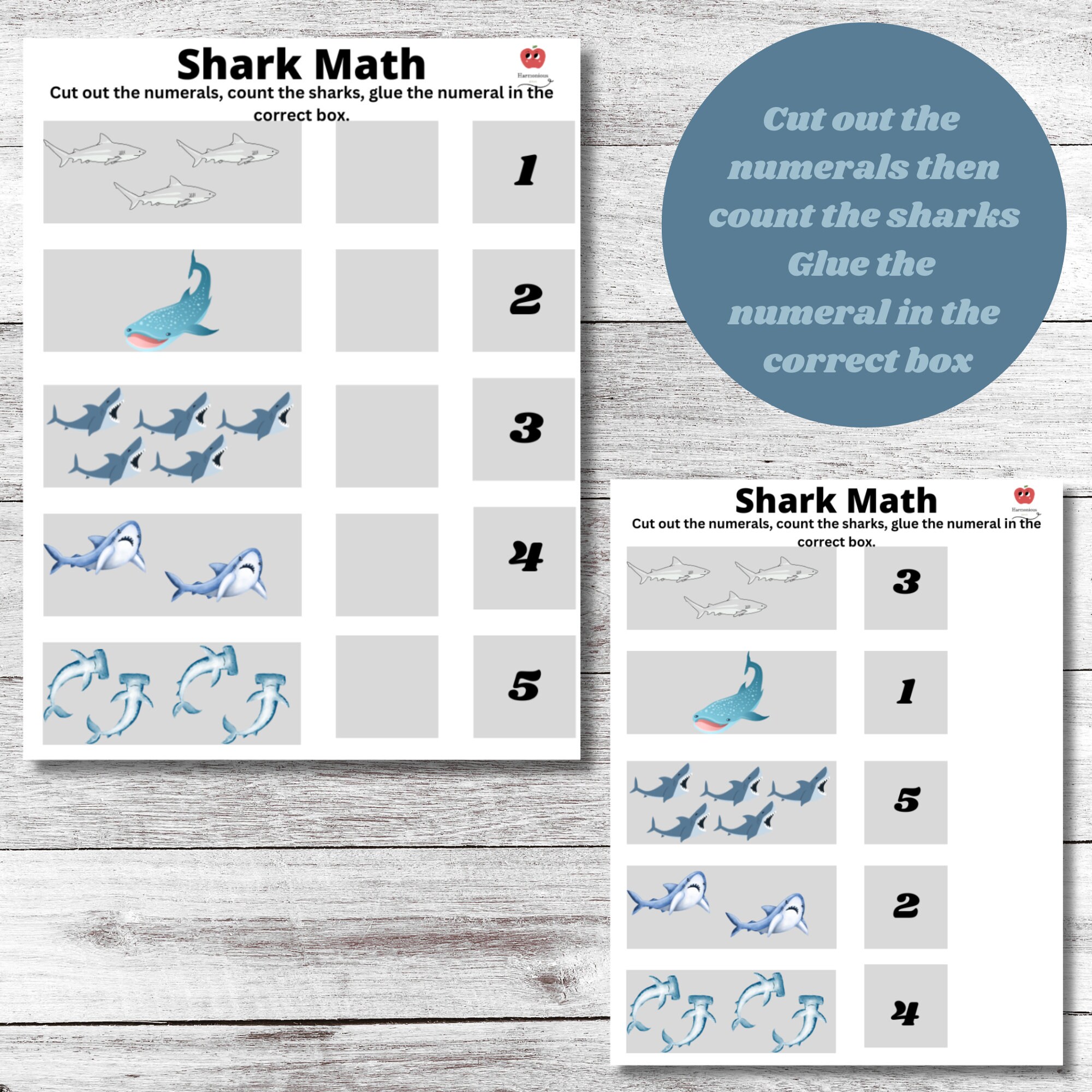 Shark Activity Pack| Shark Week Worksheets| Instant Download - Etsy