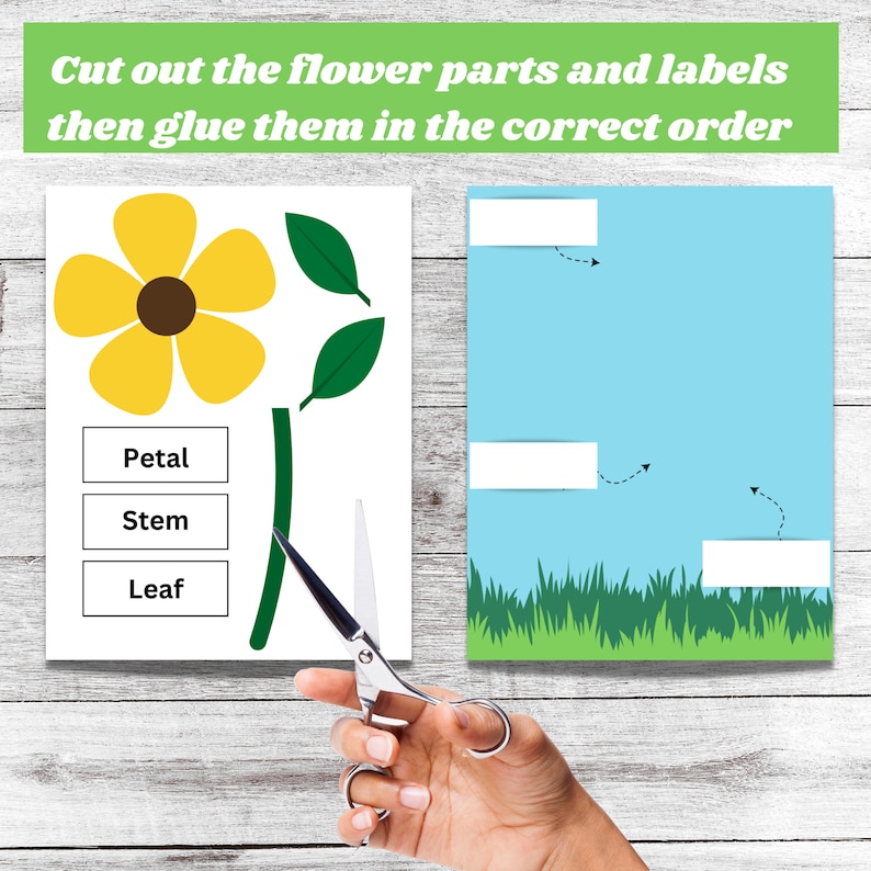 Parts of a Flower Craft| Flower Printable Activity| How Plants Grow ...