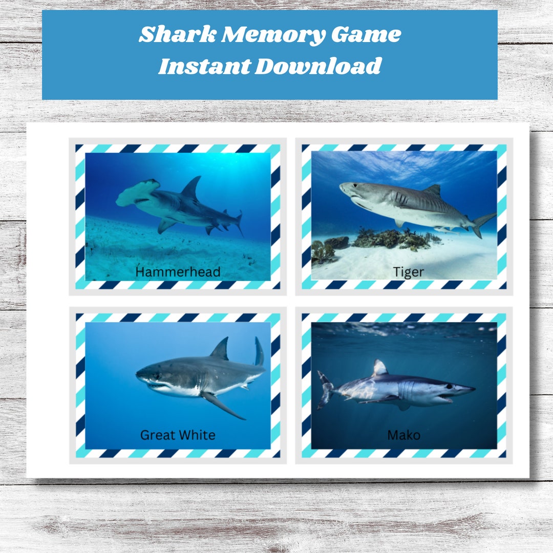 Shark Memory Game| Shark Week Matching Activity| Instant Download - Etsy